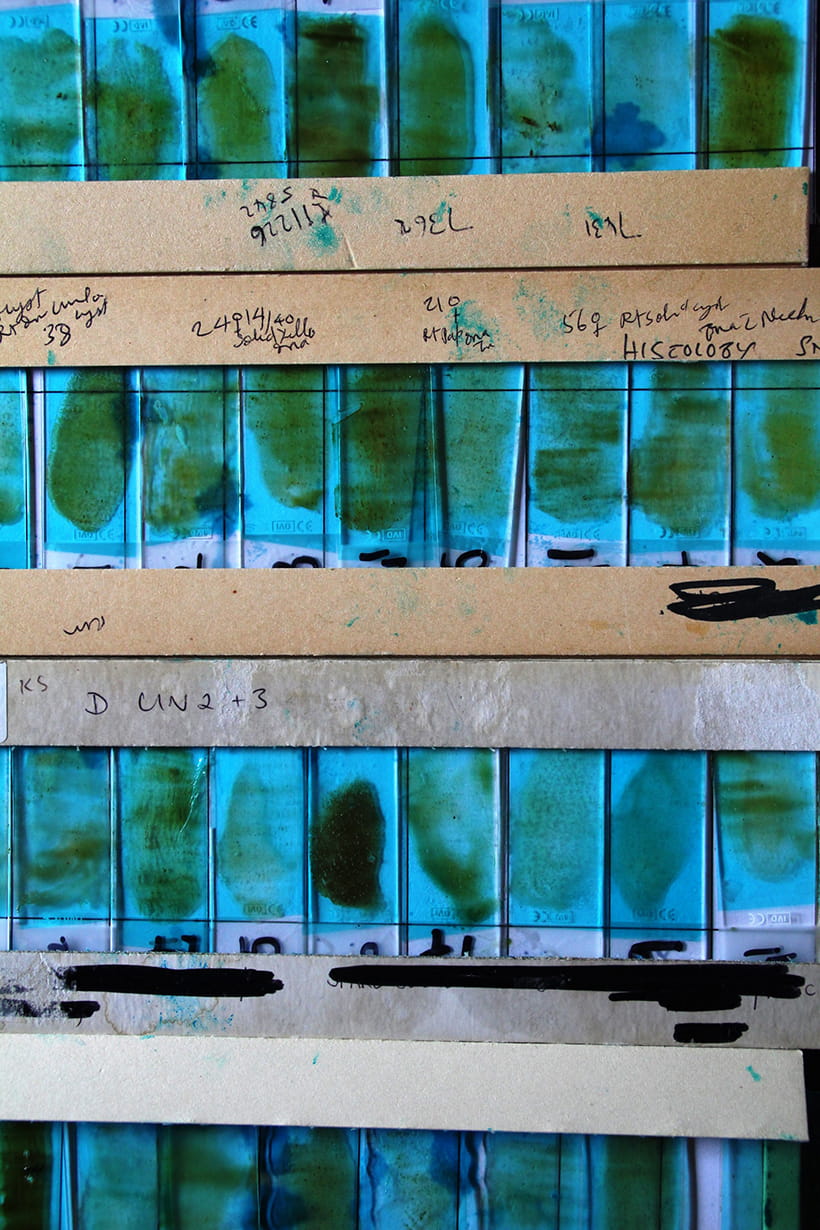 Elective snapshots: the MDU photo competition